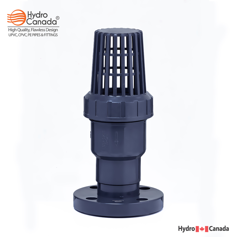 Flanged Single Union Foot Valve - Hydro Canada